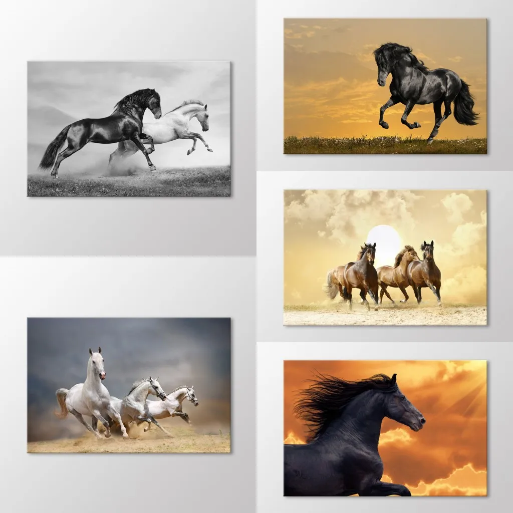 Black-and-White-Horse-Canvas-Art-Poster-Animal-Print-Timeless-Stallion ...