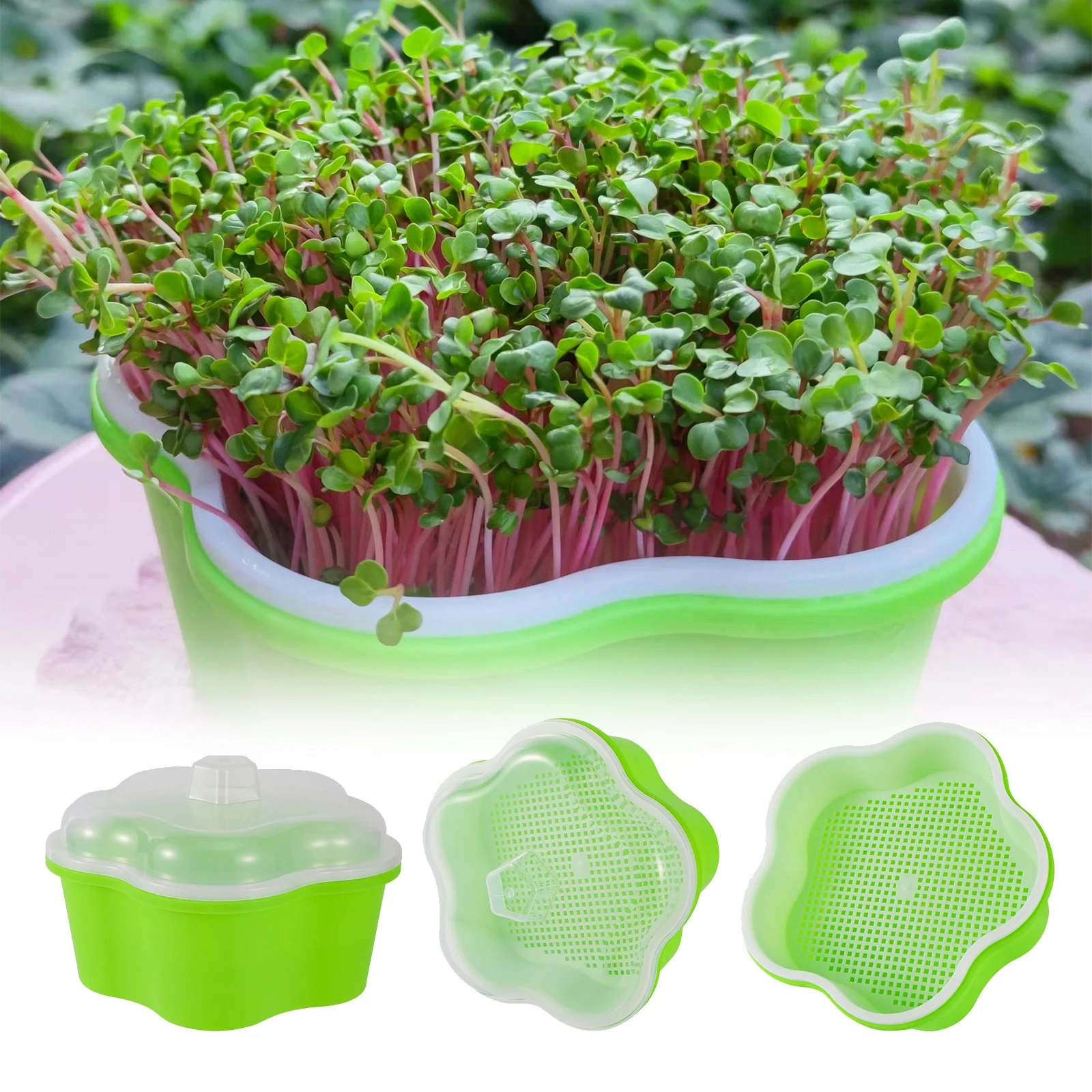 Plastic-Seedling-Tray-Garden-Hydroponic-Peanut-Sprout-Box-Bean-Pea ...