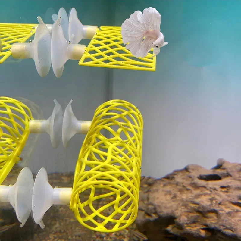 Plastic-Fish-Tank-Aquarium-Artificial-Grid-Betta-Fish-Rest-Spawning ...