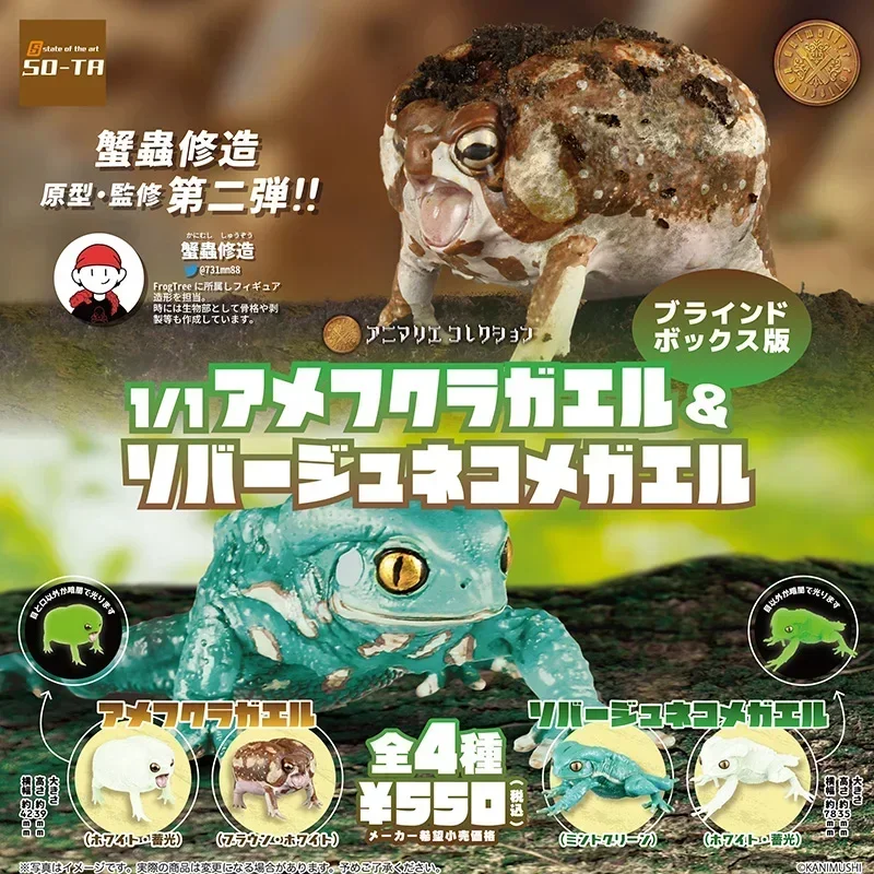 SO-TA Kawaii 1/1 Animal Replica Reptiles Models Mantou Frog Anime ...