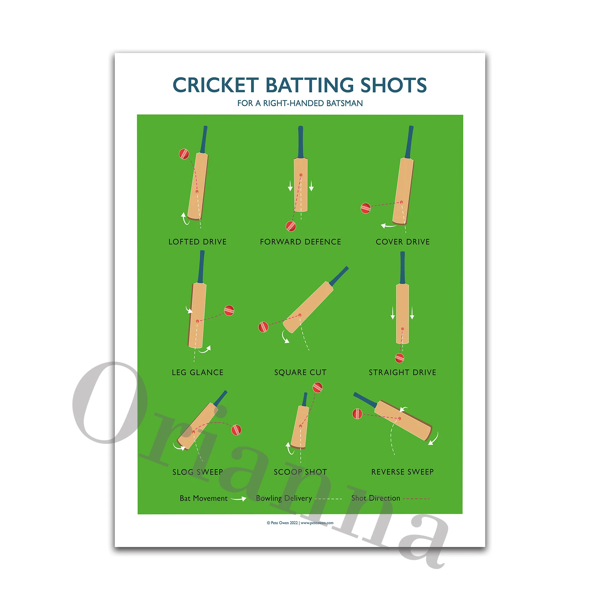 Cricket Batting Shots