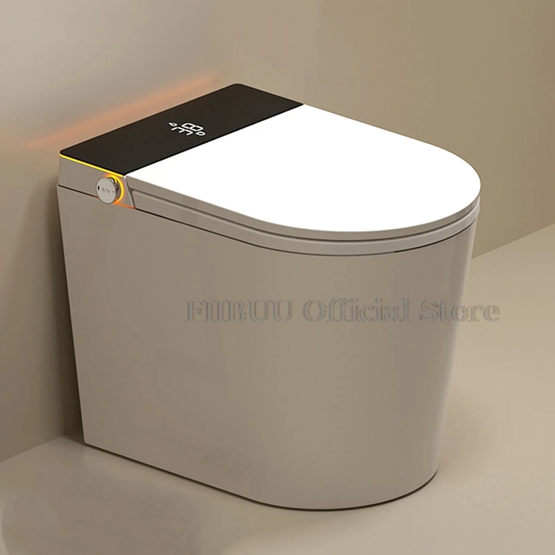Elongated-Smart-Toilet-Built-in-Bidet-Water-Tank-No-Water-Pressure ...