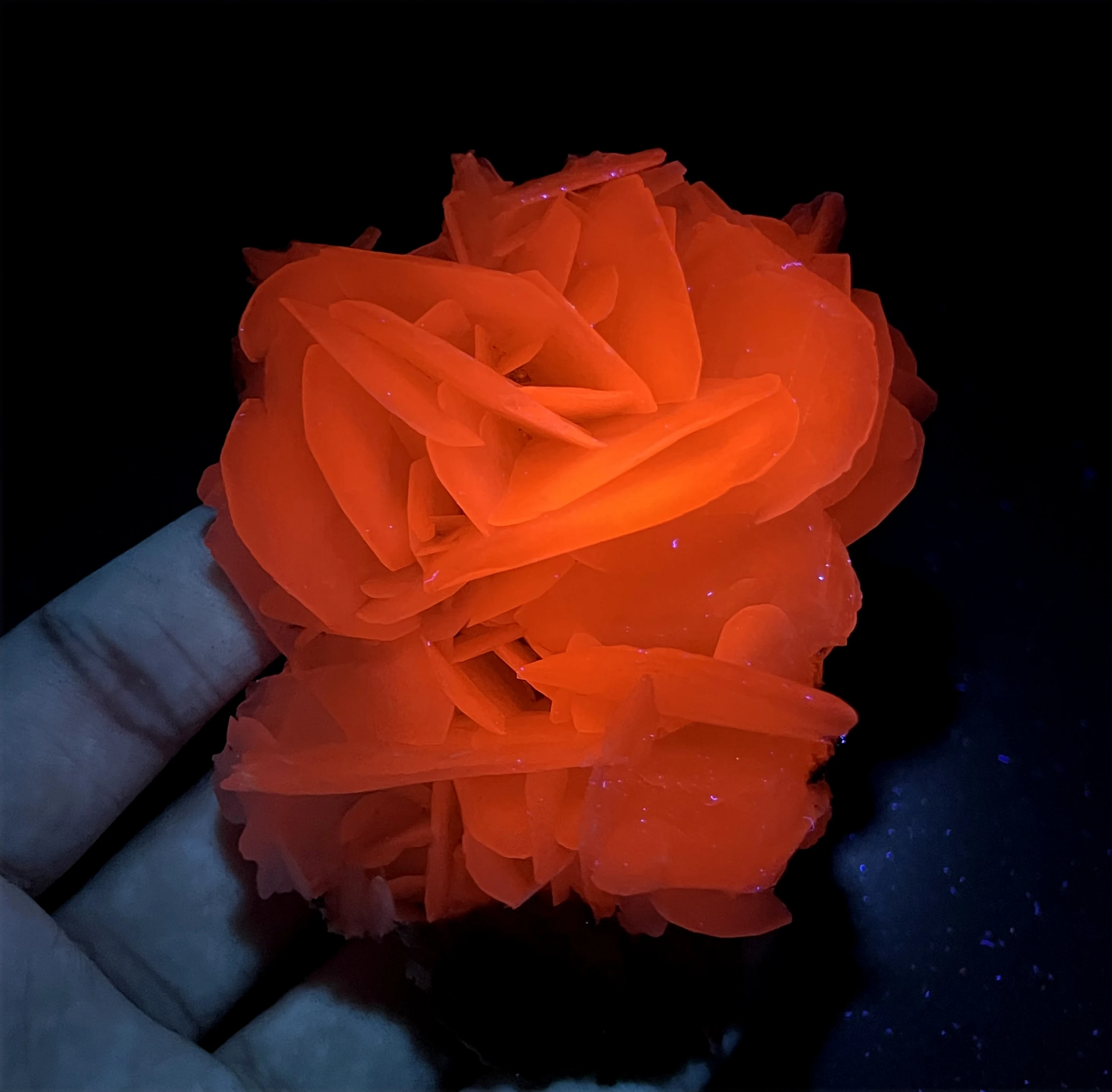 BEST-100-natural-Fujian-Rose-Flake-Fluorescent-Calcite-mineral-specimen ...