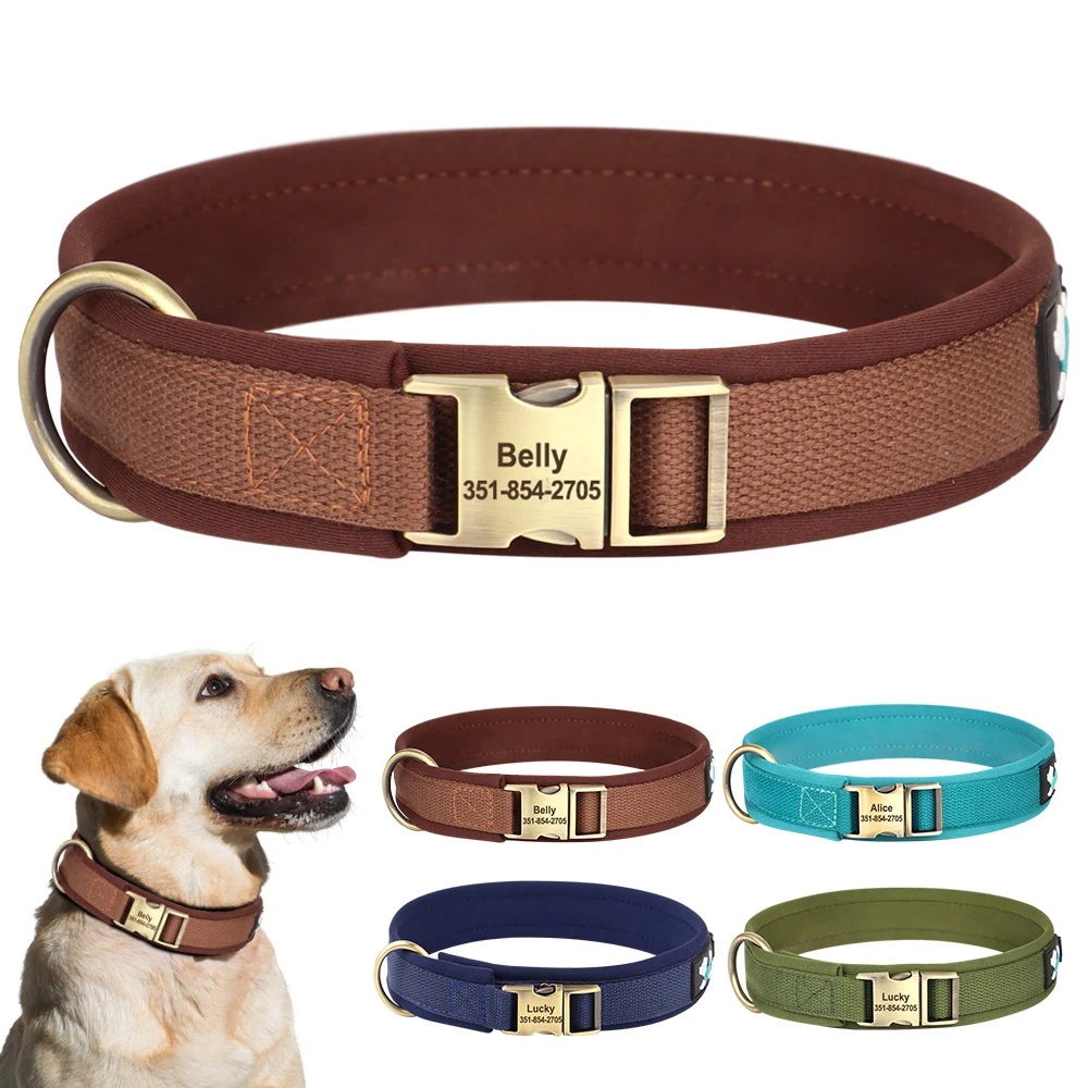 Personalized-Nylon-Dog-Collar-Soft-Padded-Dog-Collars-Durable-Pet-ID ...