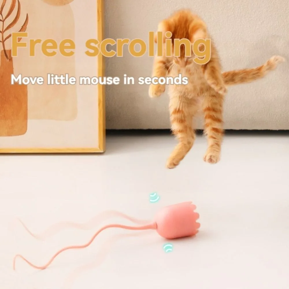 S5f76e1105bf14b59bf40331872da85643.jpg