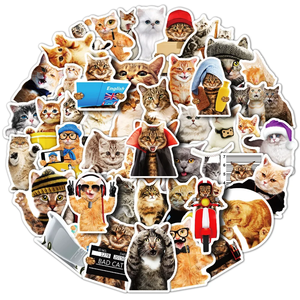 10-30-50PCS-Funny-Real-Cat-Stickers-Kawaii-Cute-Animals-DIY-Toys ...