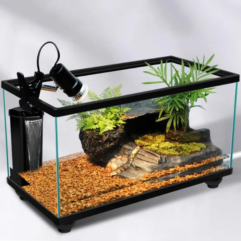 Gallon Turtle Tank