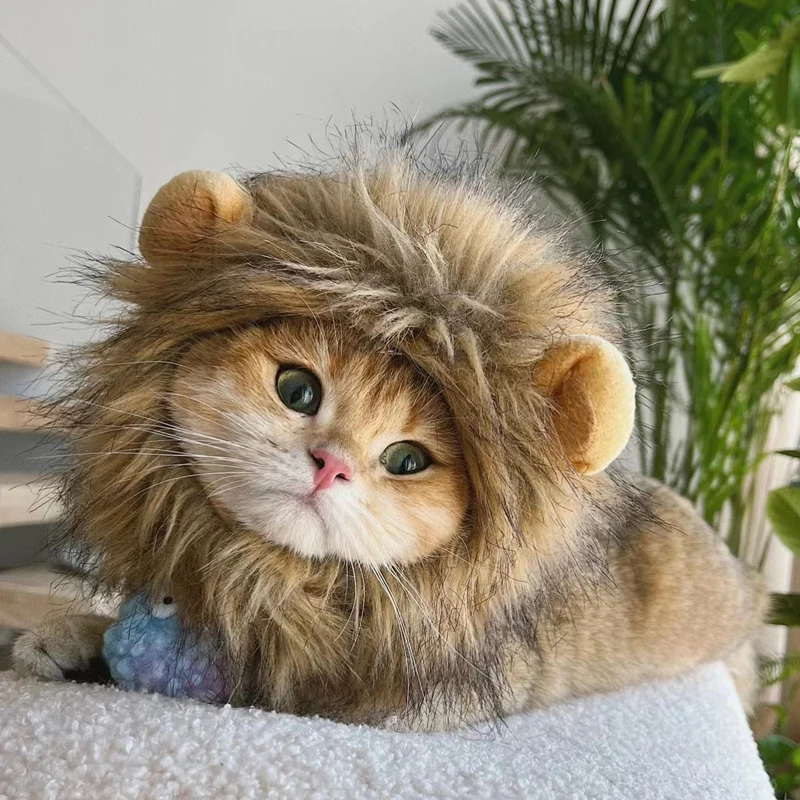 Lion Costume For Cats