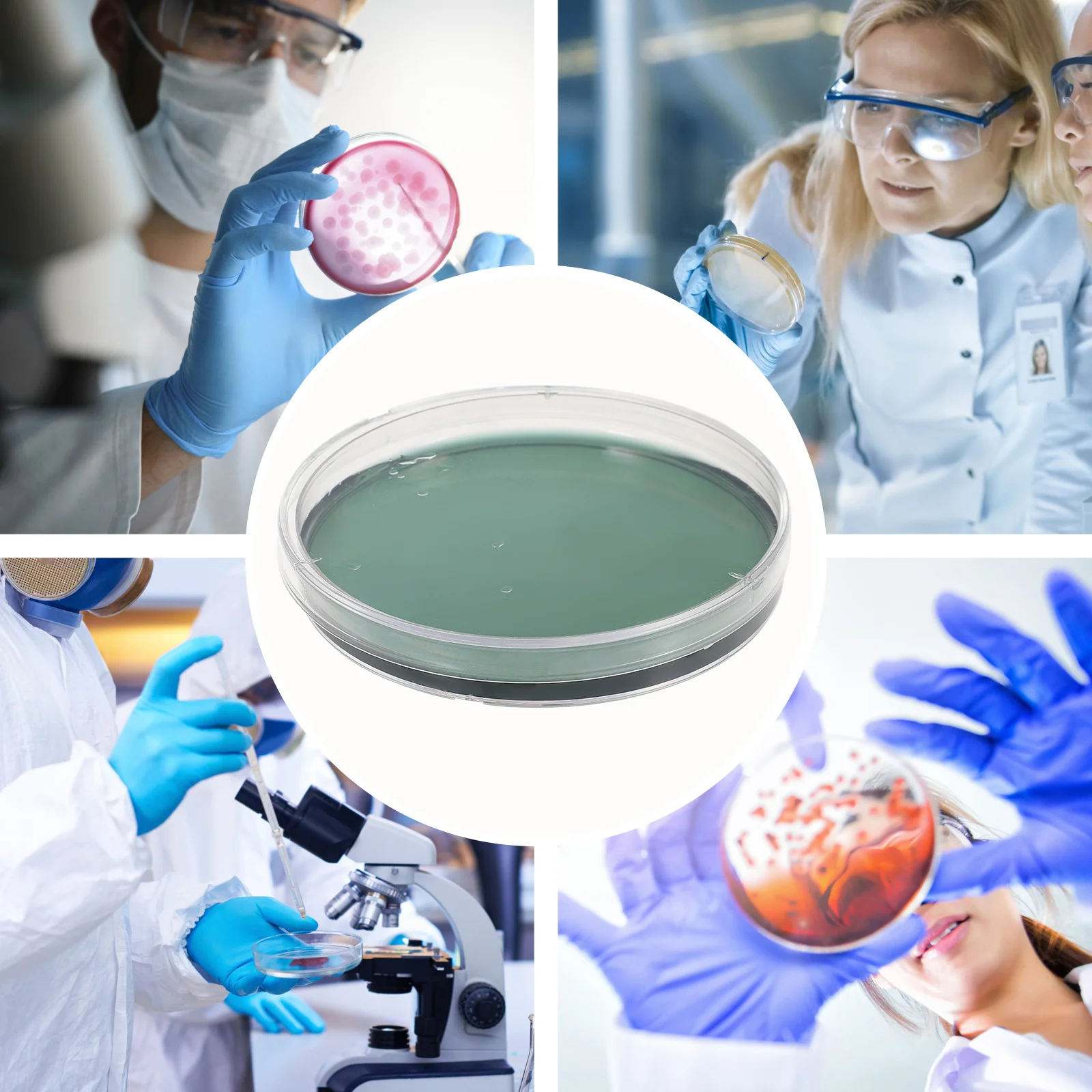 Agar Petri Dishes Tissue Culture Prepoured Agar Plates Plate Agar ...