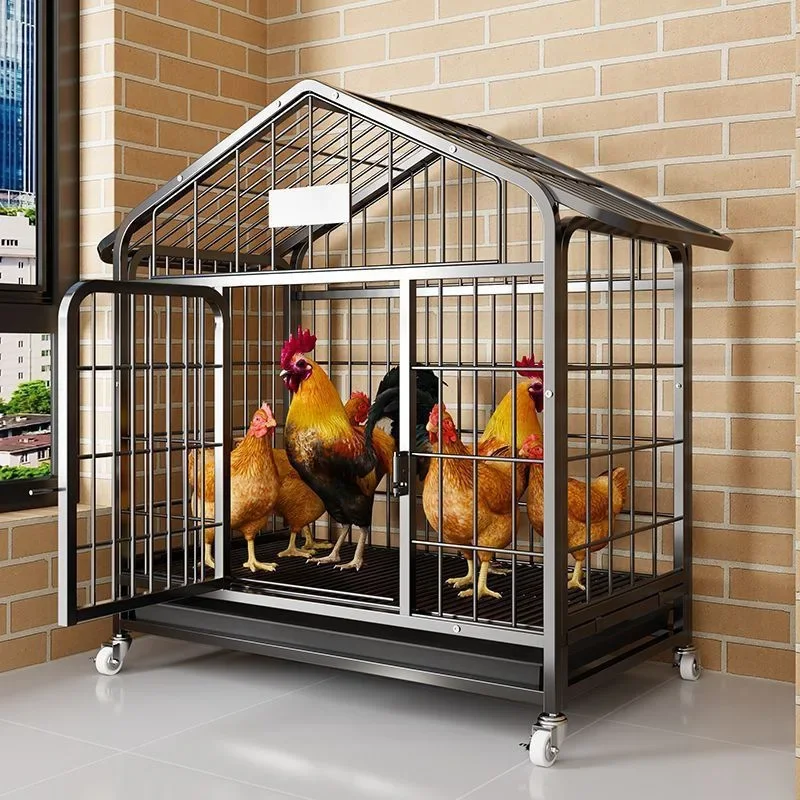 Cage for laying eggs for chickens, outdoor chicken shed, chicken farm ...