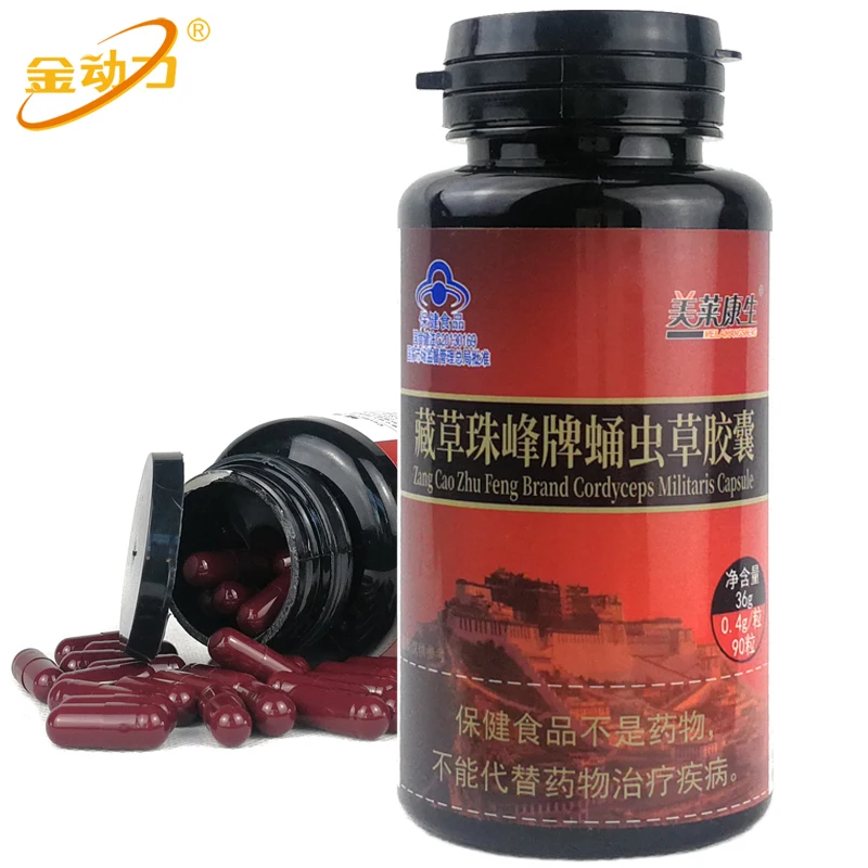 Pure Cordyceps Sinensis Powder Extract Capsule Cordyceps Aweto Chinese ...