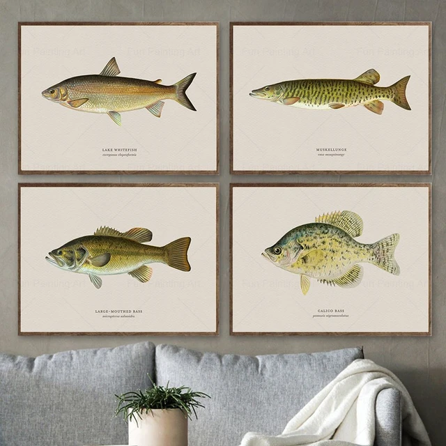 Freshwater Fishing Art