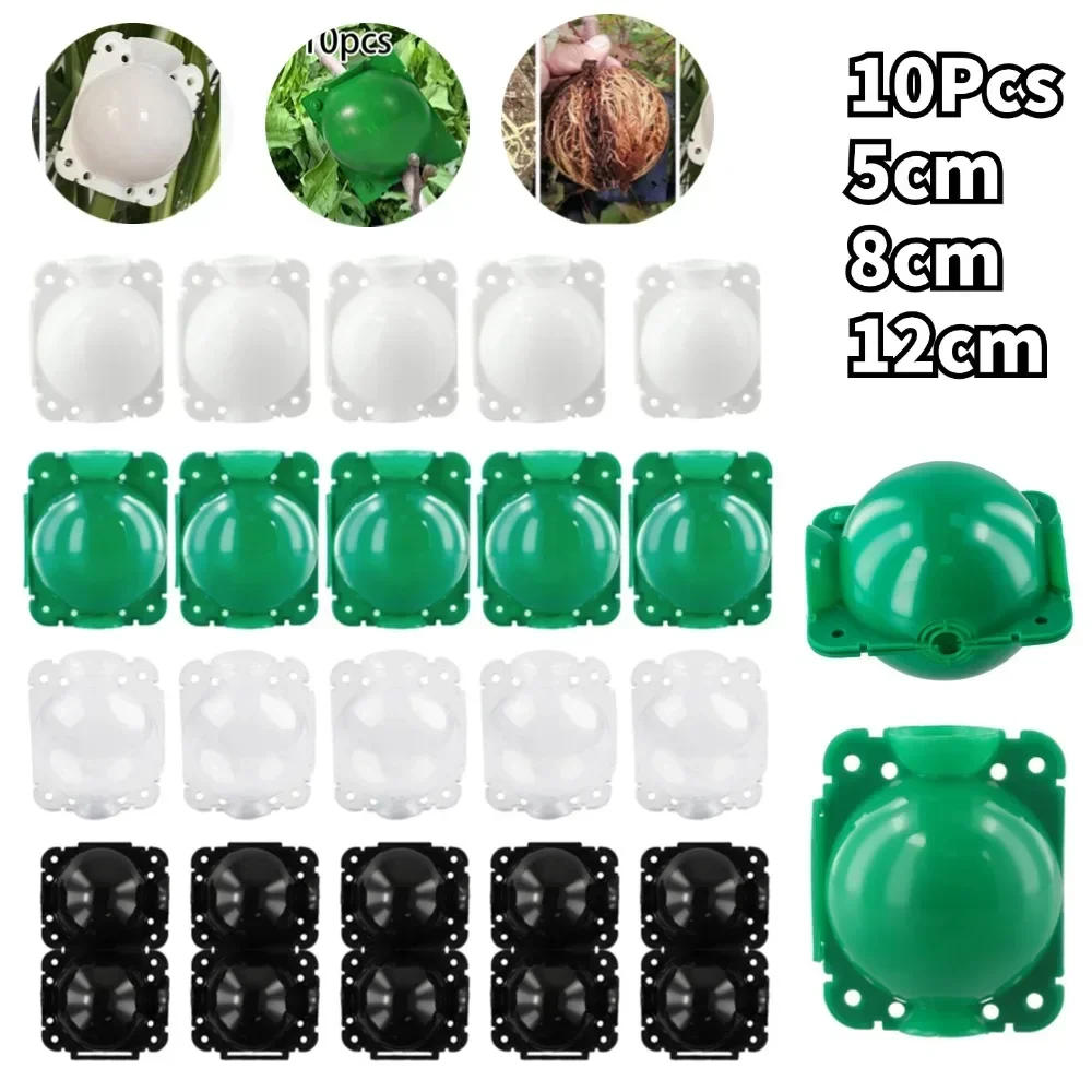 10Pcs-Plant-Rooting-Ball-High-Pressure-Graft-Breeding-Case-Nursery-Box ...