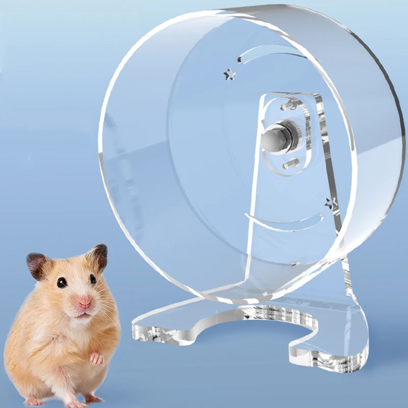 Empty Hamster Wheel