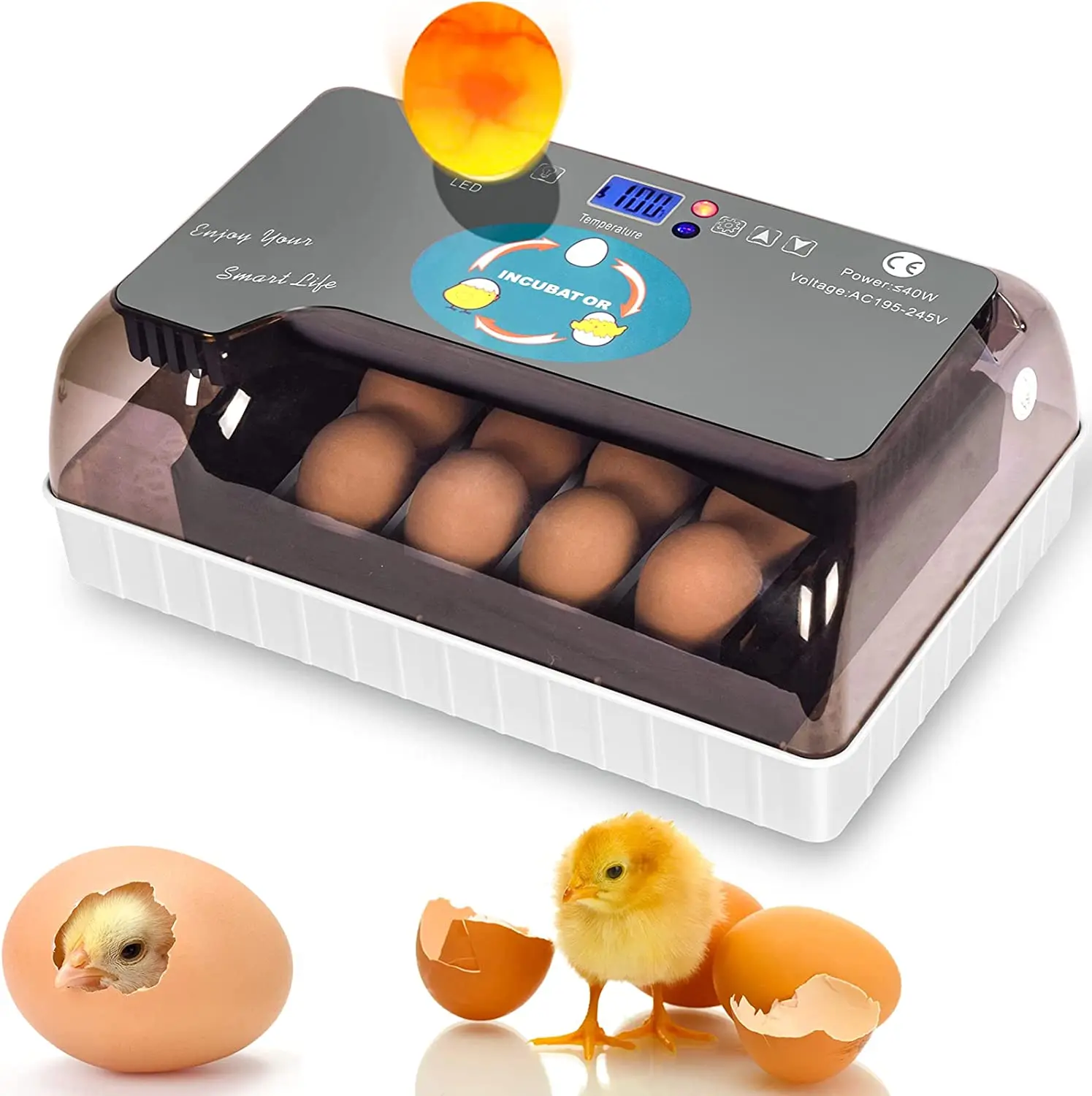 Automatic-HHD-Best-Digital-12-Chick-egg-Hatchery-machine-Brooder-egg ...