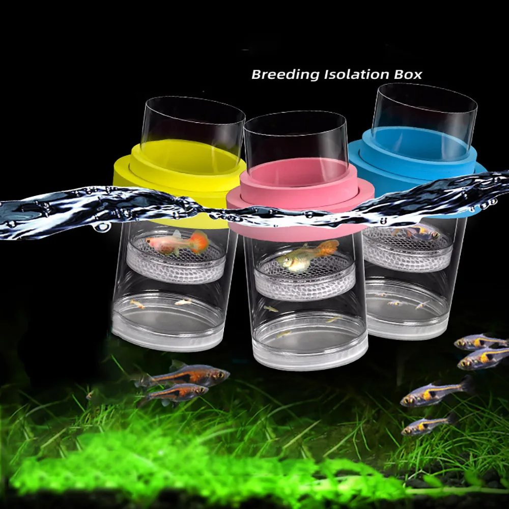 Floating-Hatching-Box-Guppy-Breeding-Box-Aquarium-Isolation-Box-Small ...