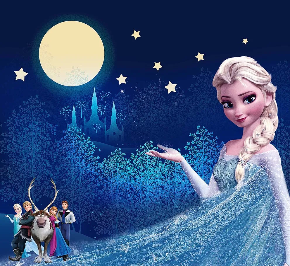 Frozen Snowflake Disney