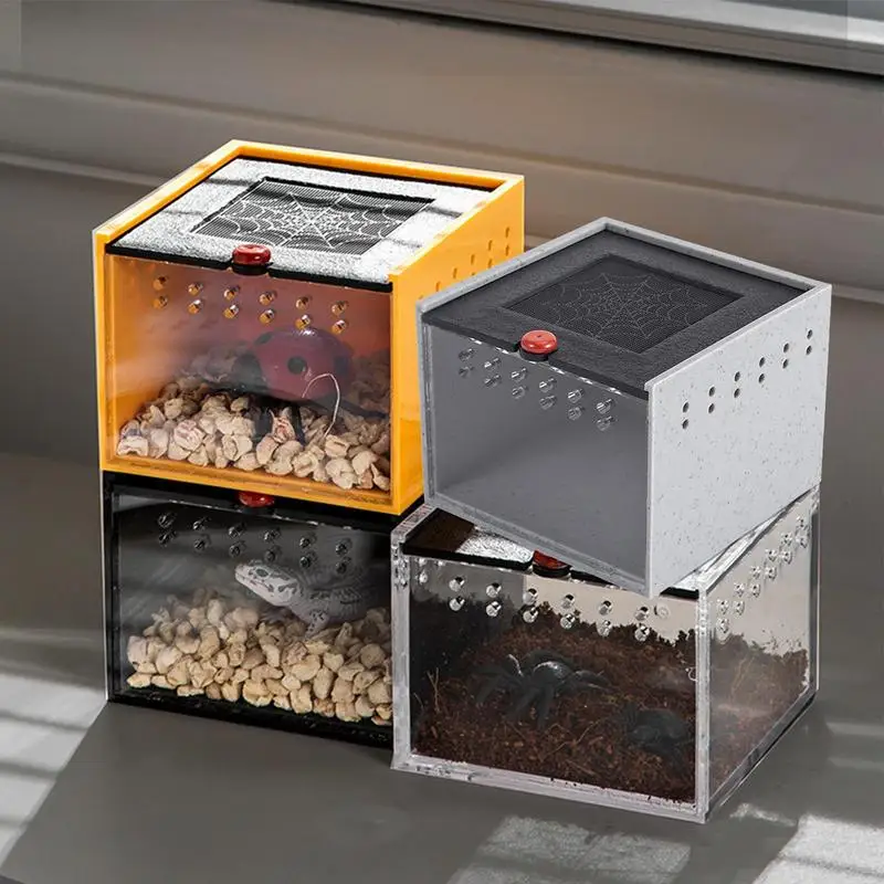 Transparent-Reptile-Box-Acrylic-Insect-Feeding-Box-Spider-Ant-Lizard ...
