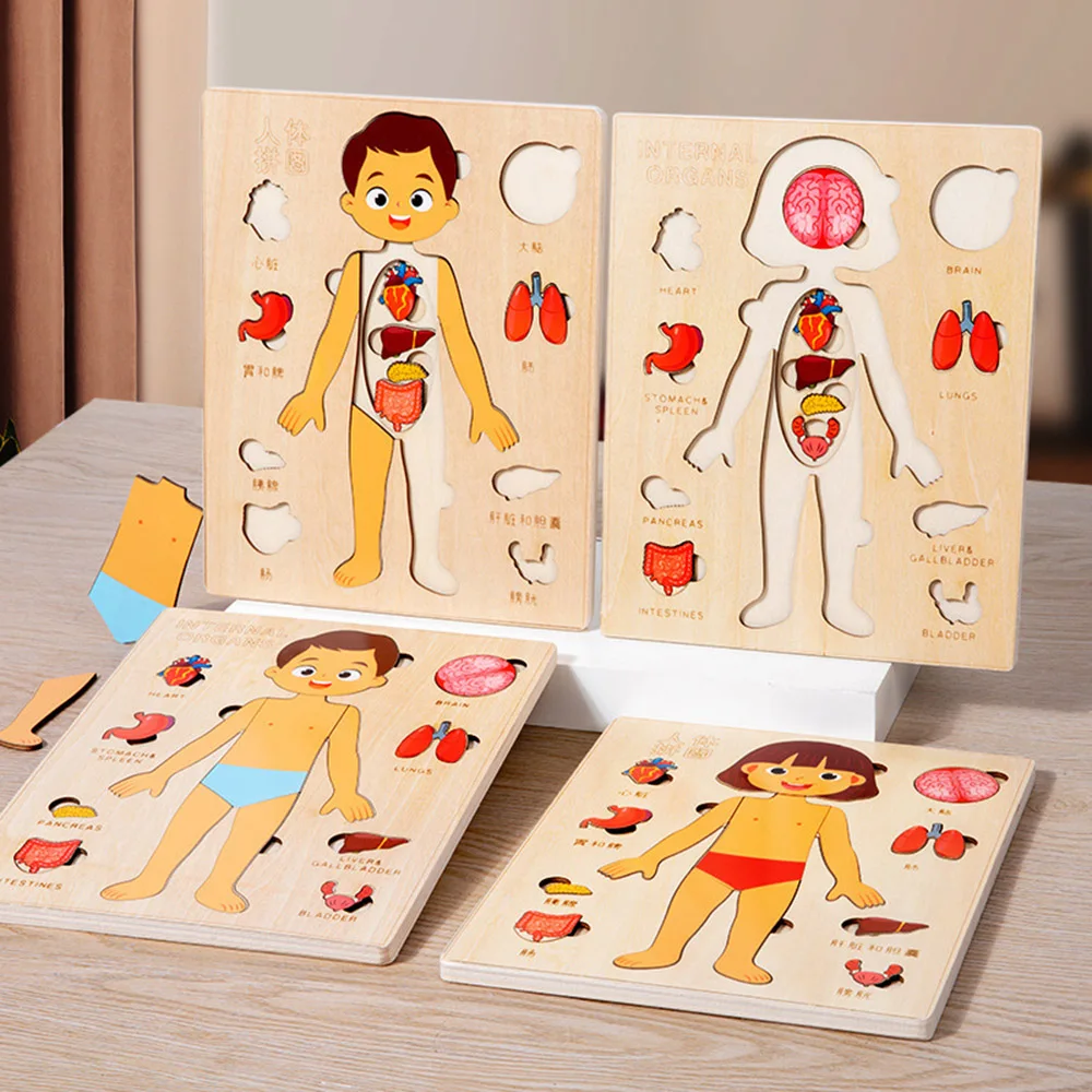 Kids-Wooden-Montessori-Toys-Human-Body-Organs-Puzzles-Educational-Toy ...