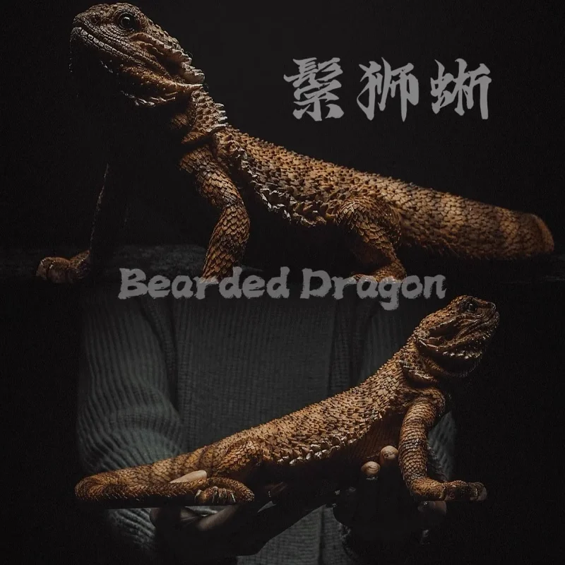S6081abe1e7f64c9ca94298db08a8b964p.png