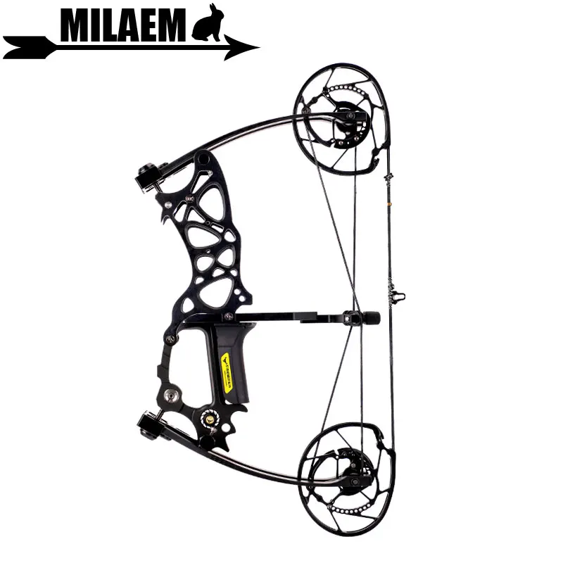 Archery Compound Bow 35 70lb Dual purpose Steel Ball Short axis Pure ...