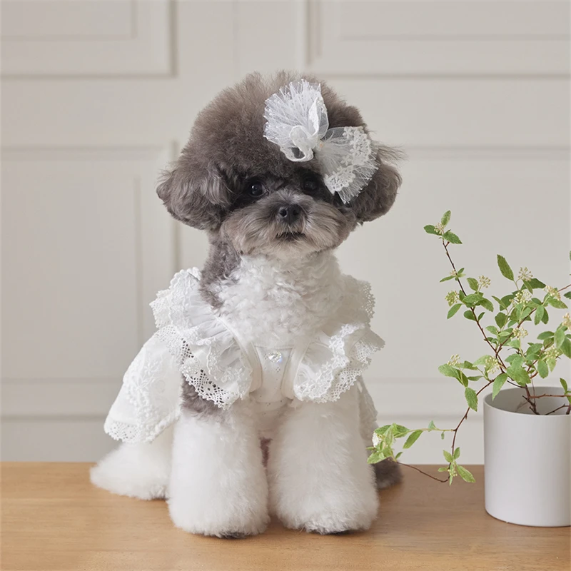 Dog Dress Lace Ruffle White Dog Wedding Dress Dog Flower Girl Dresses ...
