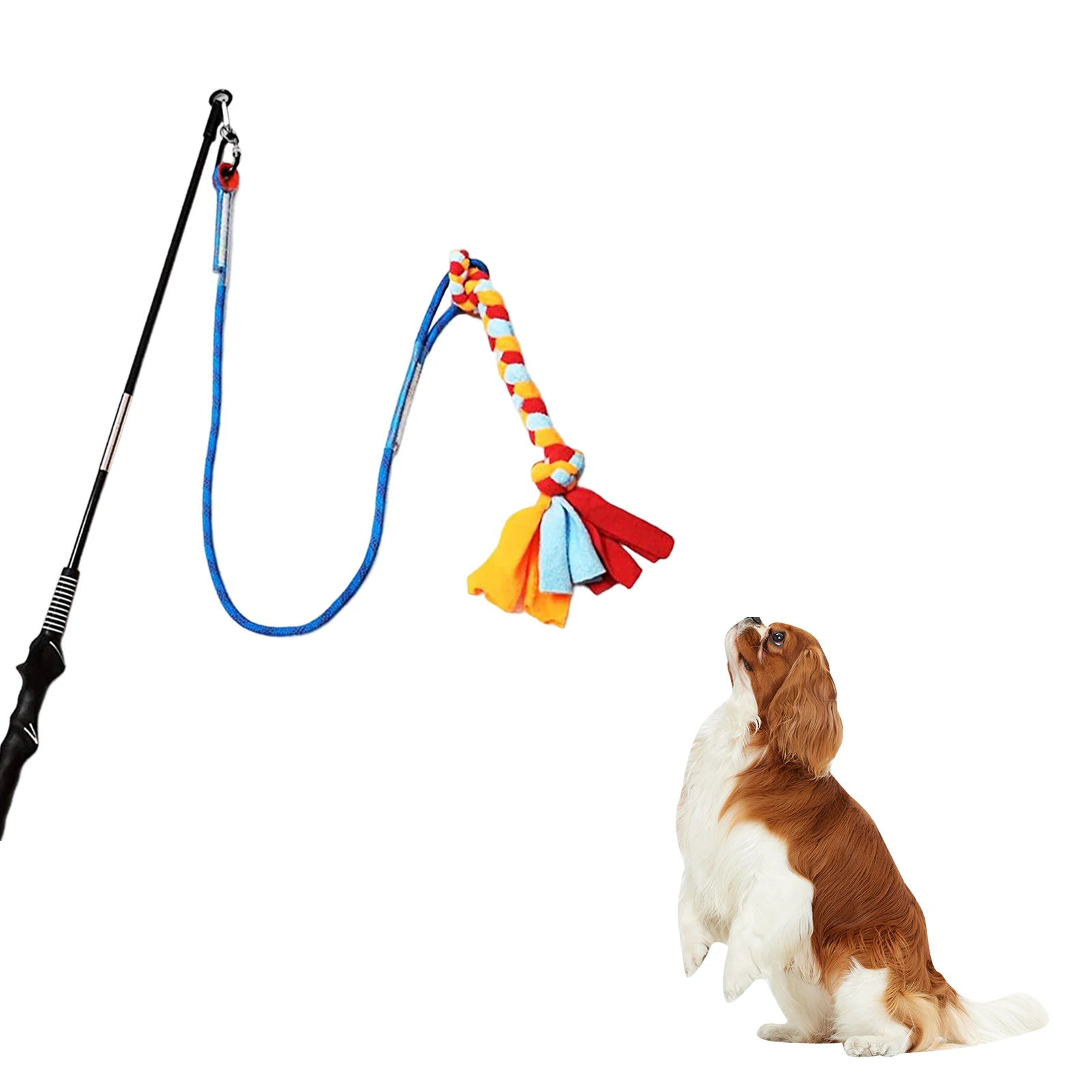 Flirt-Pole-for-Dogs-with-Chewing-Toy-Large-Breed-Long-Interactive-Dog ...