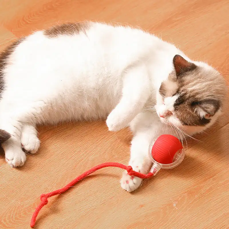 Interactive-Cat-Toy-Ball-Super-Drive-Cat-Rolling-Balls-With-Bird ...