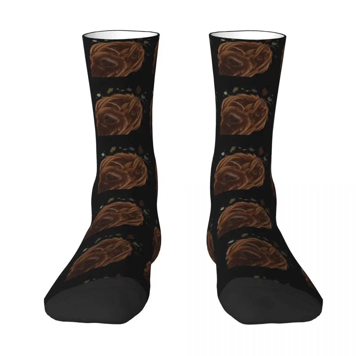 Curious-Wirehaired-Pointing-Griffon-Dog-Socks-new-in-s-floral-Argentina ...