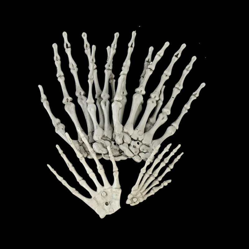 1Pair-Halloween-Fake-Skeleton-Hands-Bone-4-Size-Realistic-Scary-Human ...