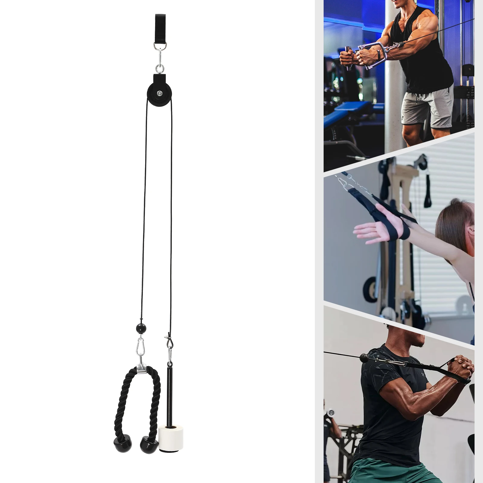 Everything You Need to Know About Seated Bicep Curl Machines