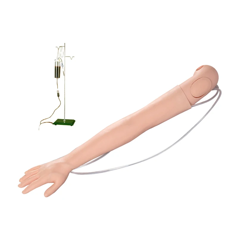 Advanced IV Injection Arm Venipuncture Training Intravenous Infusion ...