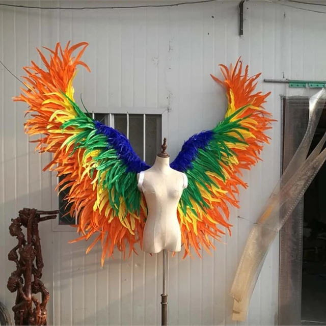 Rainbow Feather Wings
