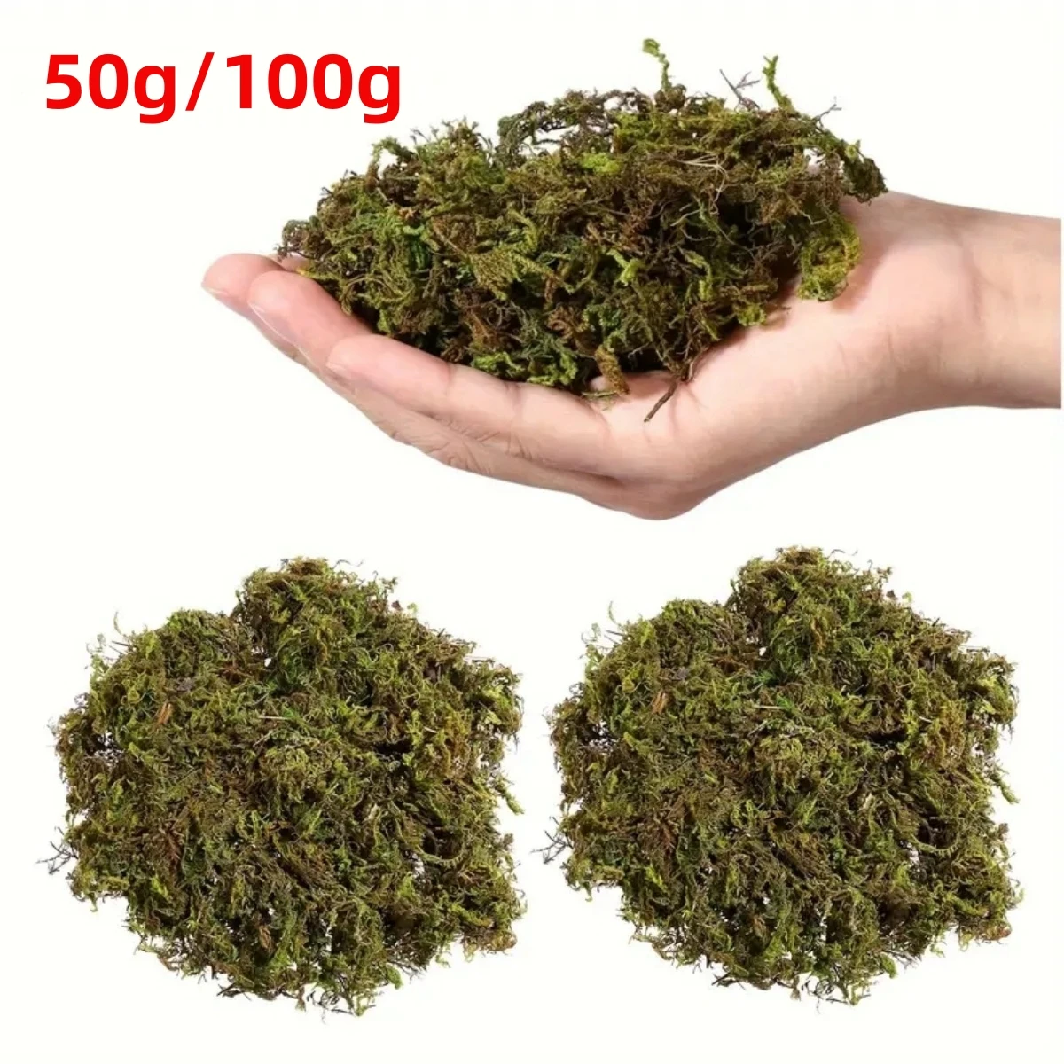 50g-100g-Artificial-Moss-Potted-Plants-Preserved-Greenery-Faux-Moss ...