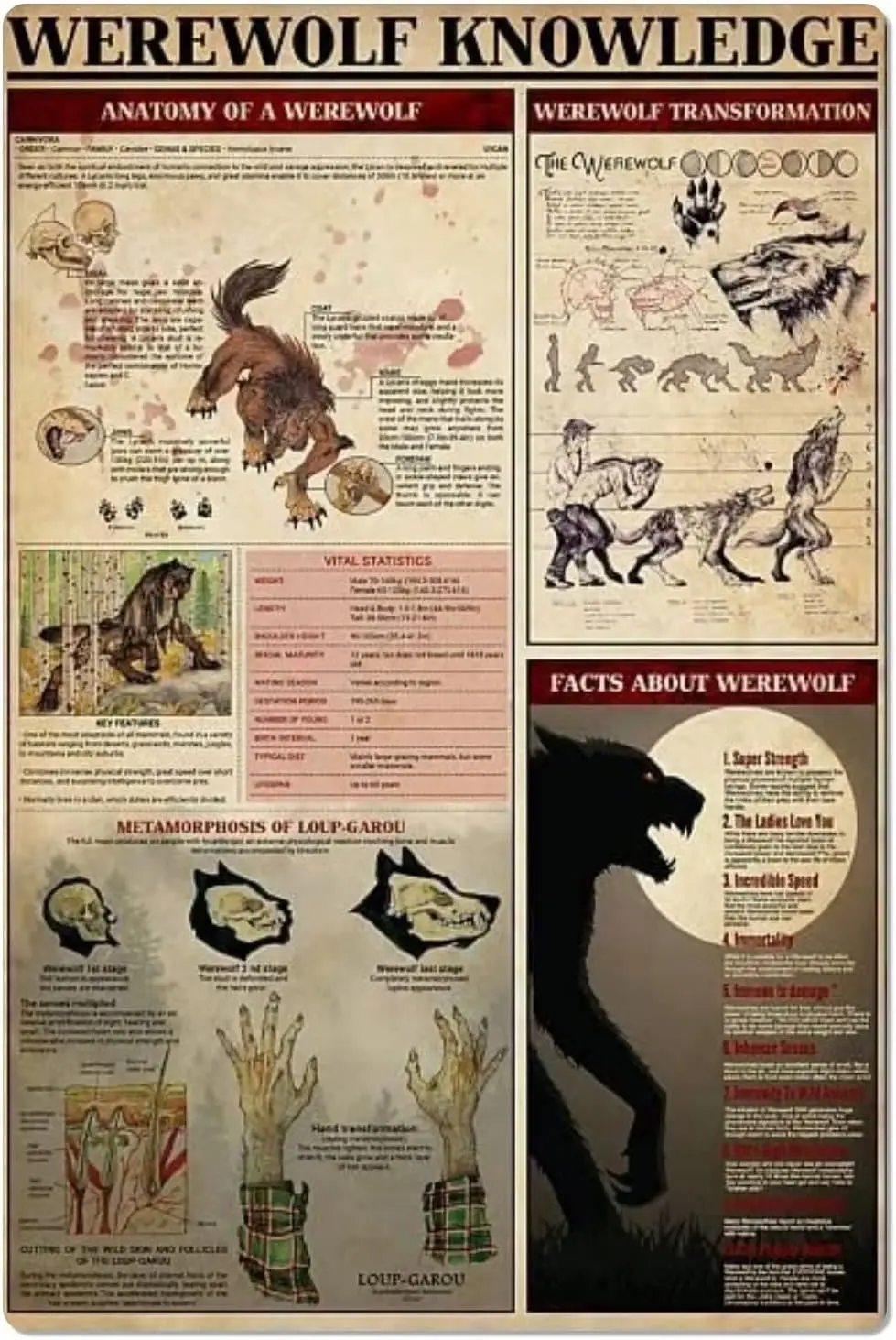 Werewolf-Knowledge-Metal-Tin-Signs-Werewolf-Reference-Infographic ...