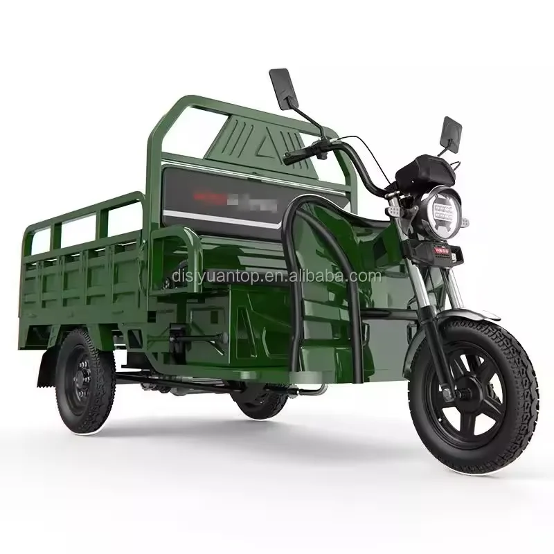 Disiyuan-V-lo-cargo-lectrique-familial-tricycle-batterie-au-plomb-moto-aluminium-3-roues-ferm-es.jpg