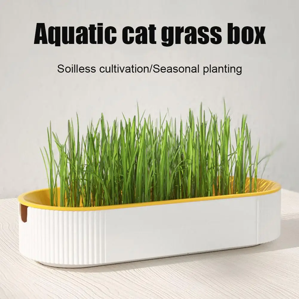 Pot de germination,Boîte hydroponique pour chat,bol de plantation d ...