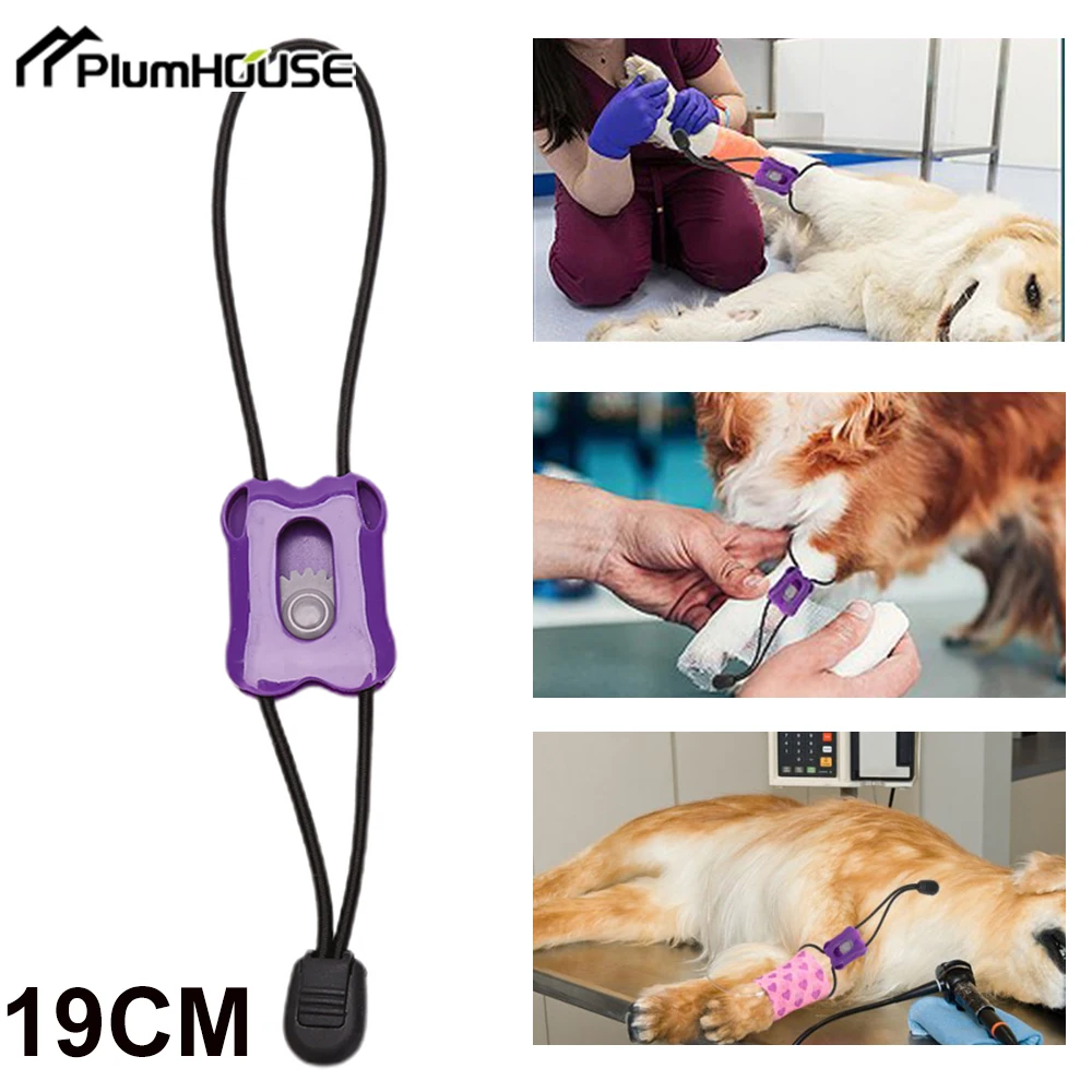 Professional Dog Tourniquets Pet Hemodialysis Bandage Animal Belt ...