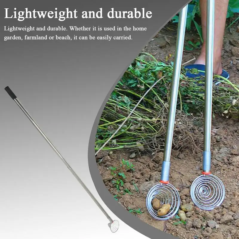 Acorn Picker Tools: The Ultimate Guide to Choosing and Using a Reliable ...