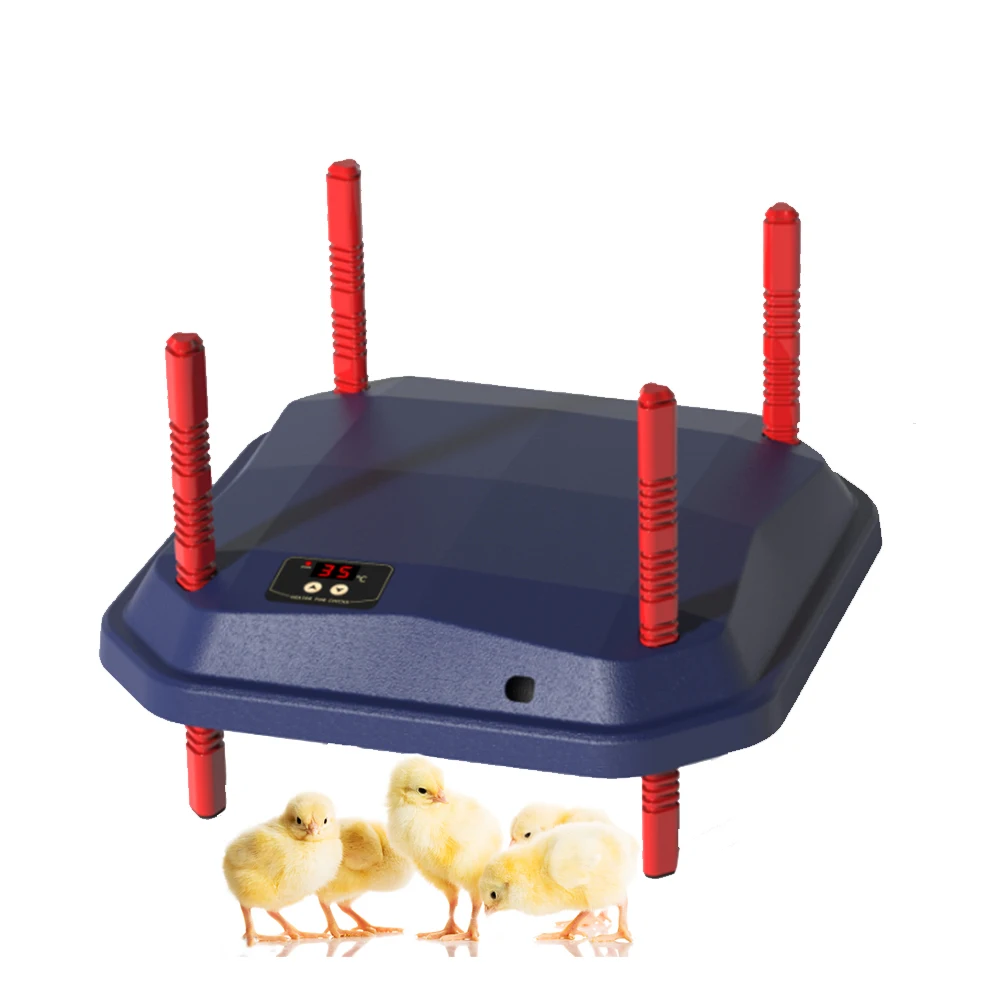 Electric Chick Brooder Heating Plate Adjustable Height Chick Cage ...