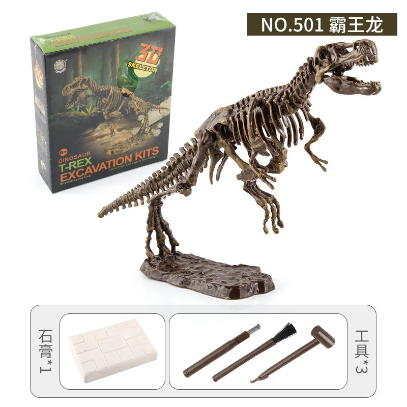 T Rex Dinosaur Bones Kit