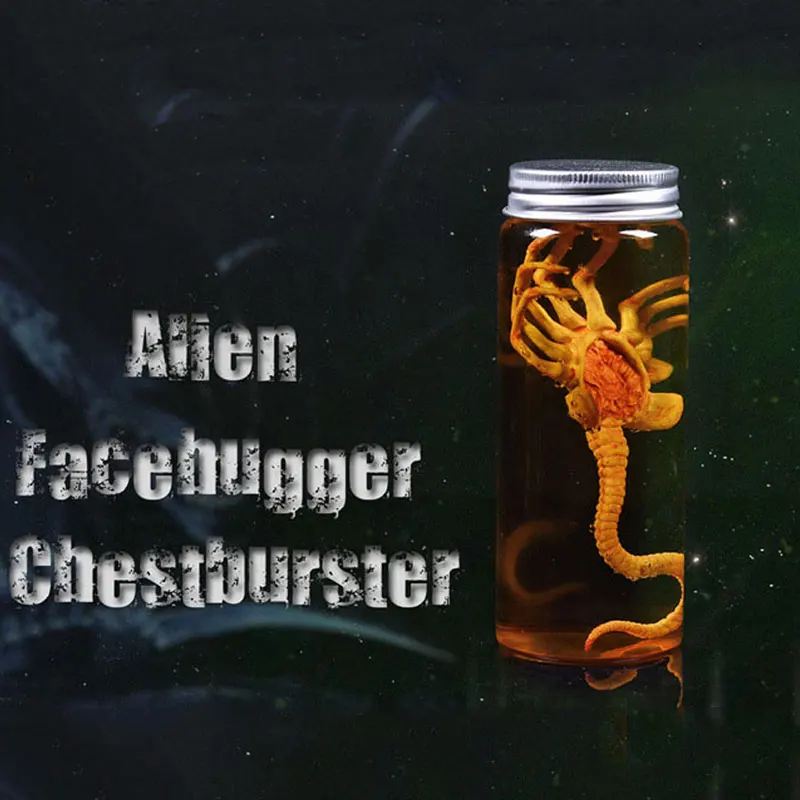 Alien Jar Xenomorph Specimen Facehugger Embryo Glass Jar Movie Prop ...