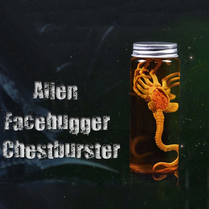 Alien Jar Xenomorph Specimen Facehugger Embryo Glass Jar Movie Prop ...