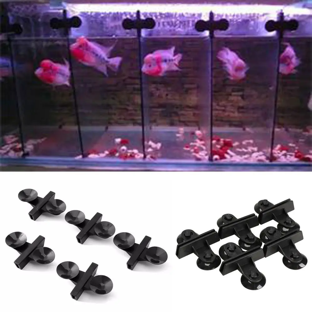 Betta Fish Tanks With Dividers