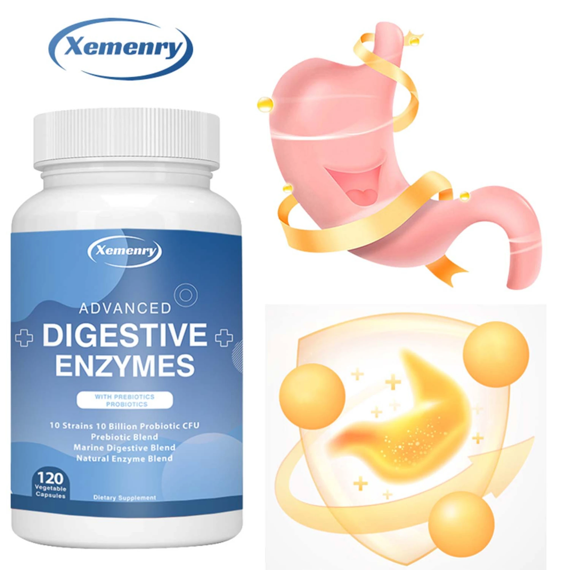 The Function of Digestive Enzymes: A Complete Guide to Gut Health and ...