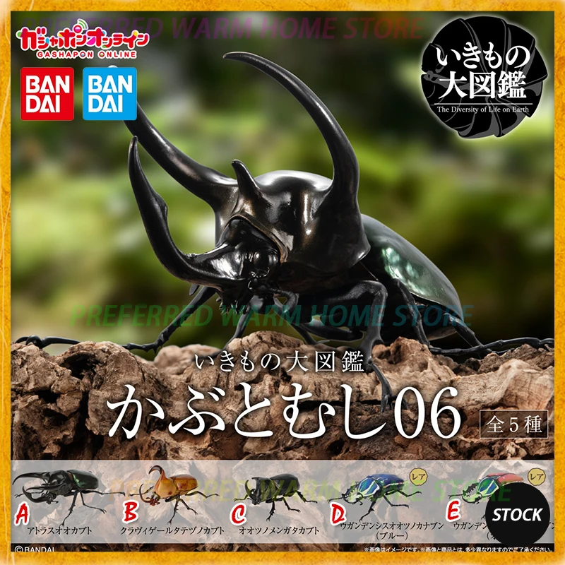 New-In-Stock-BANDAI-Beetle-06-PREMIUM-GASHAPON-Egg-Big-Biological-Map ...