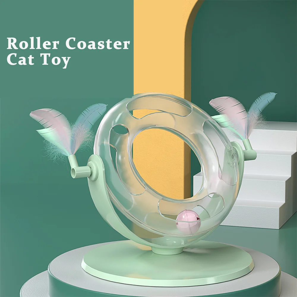 Funny Roller Coaster Kitty
