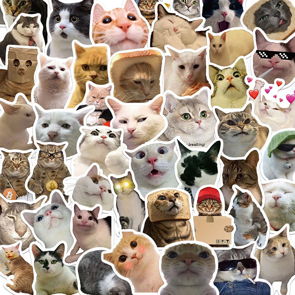 50PCS-Cute-Cat-Stickers-Vinyl-Waterproof-Funny-Cats-Decals-for-Water ...