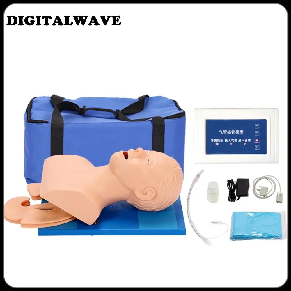 Intubation Manikin Study Teaching Model Airway Management Trainer PVC ...