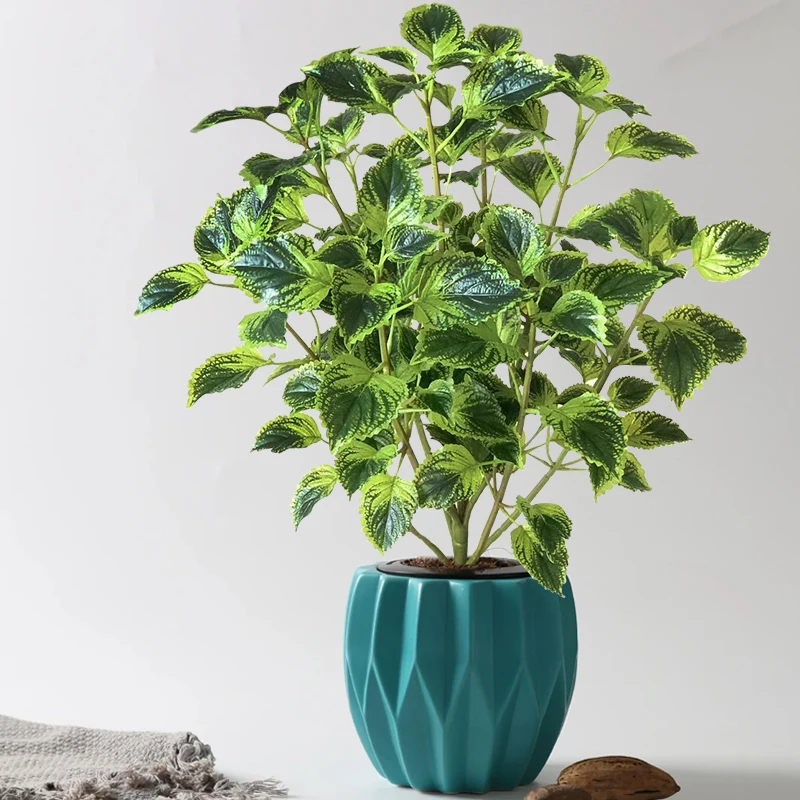 Kmitang Official Store